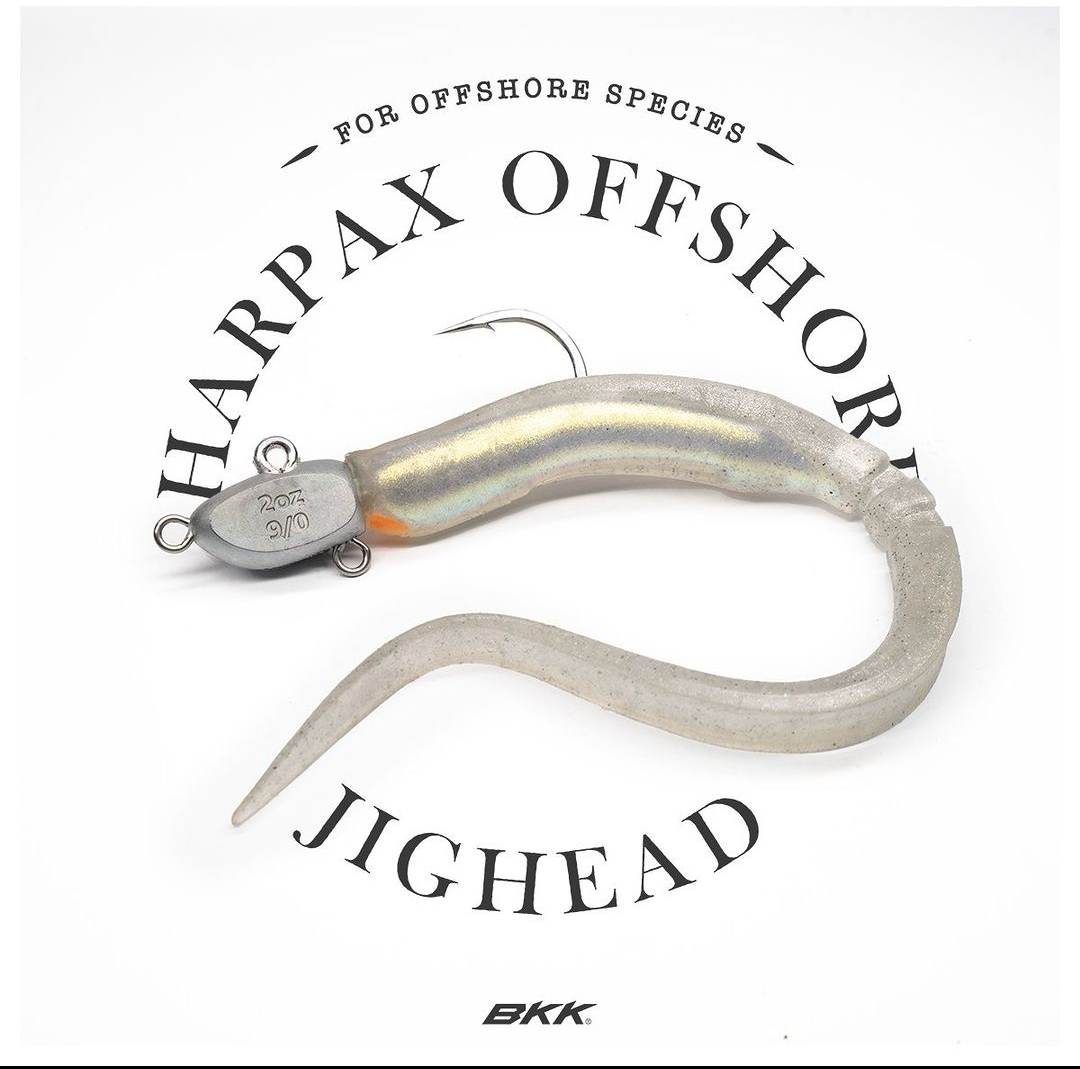 BKK Harpax Offshore Jig Heads – Dead Eggs Ltd
